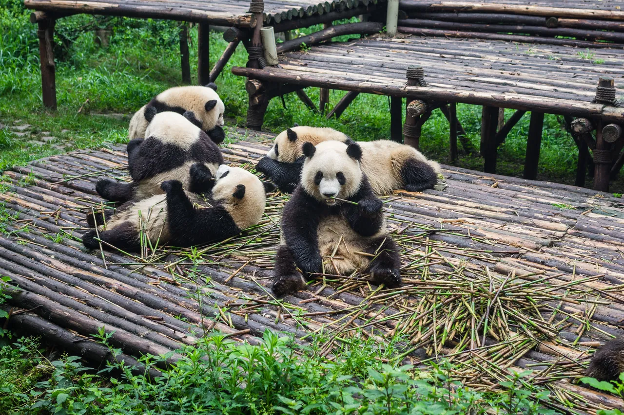 China Discovery Tour | Mercury Holidays