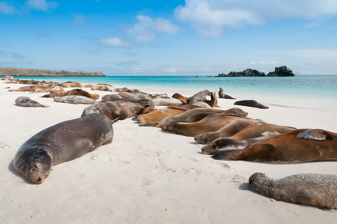Ecuadorian Adventure with Galapagos Island Hopping Extension | Mercury ...