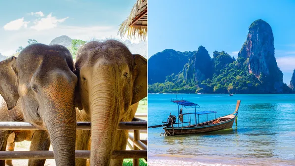Elephant Hills Jungle Safari and 4* Phuket Beach Stay | Mercury Holidays