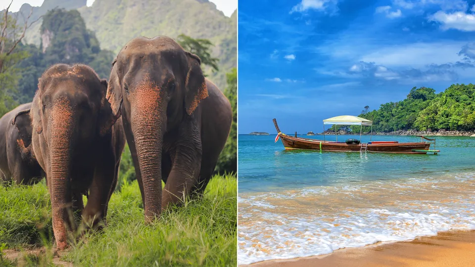 Elephant Hills Jungle Safari and 4* Khao Lak Beach Stay | Mercury Holidays
