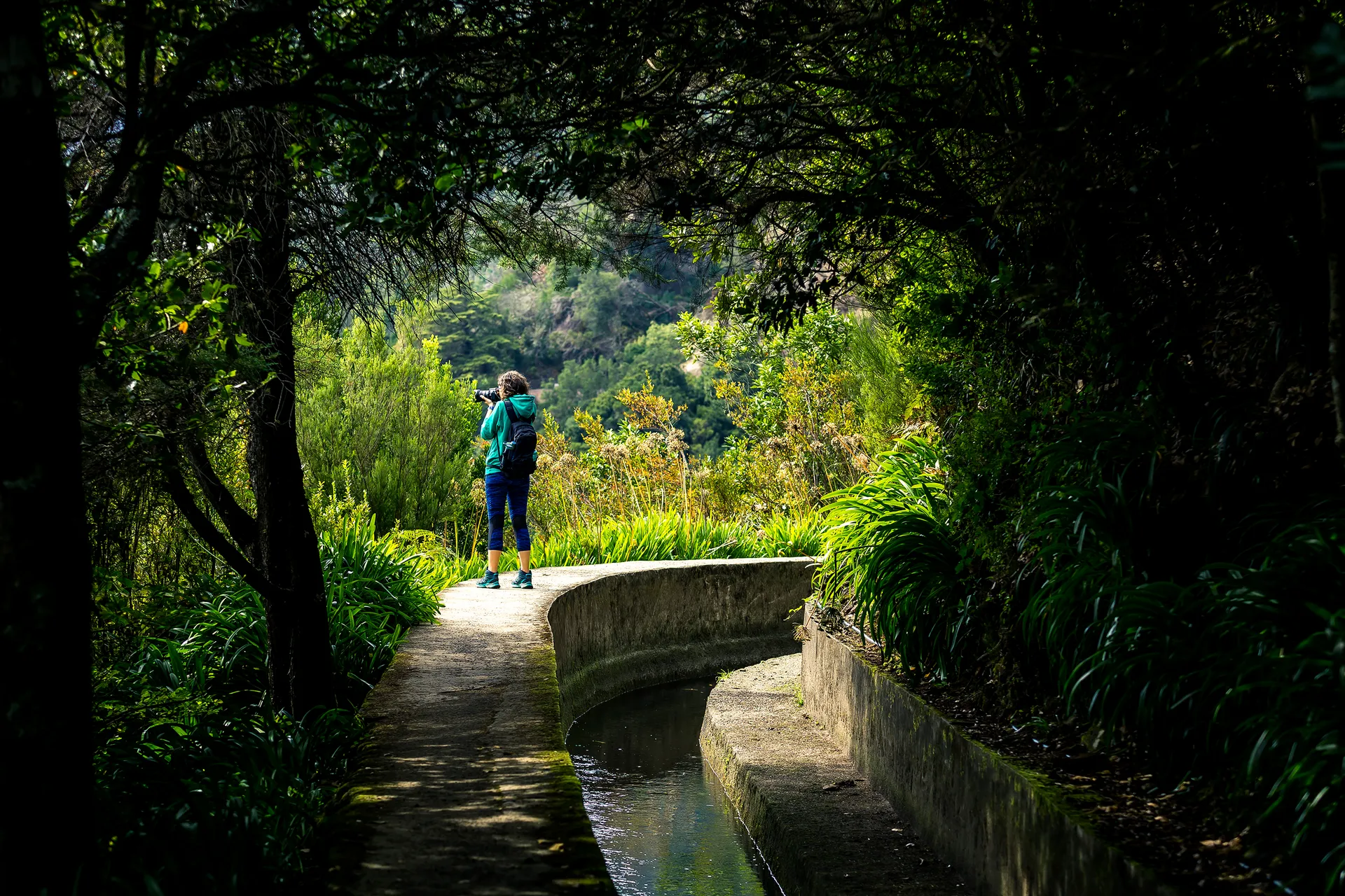 Walking Madeira's Levadas - Madeira Tours | Mercury Holidays