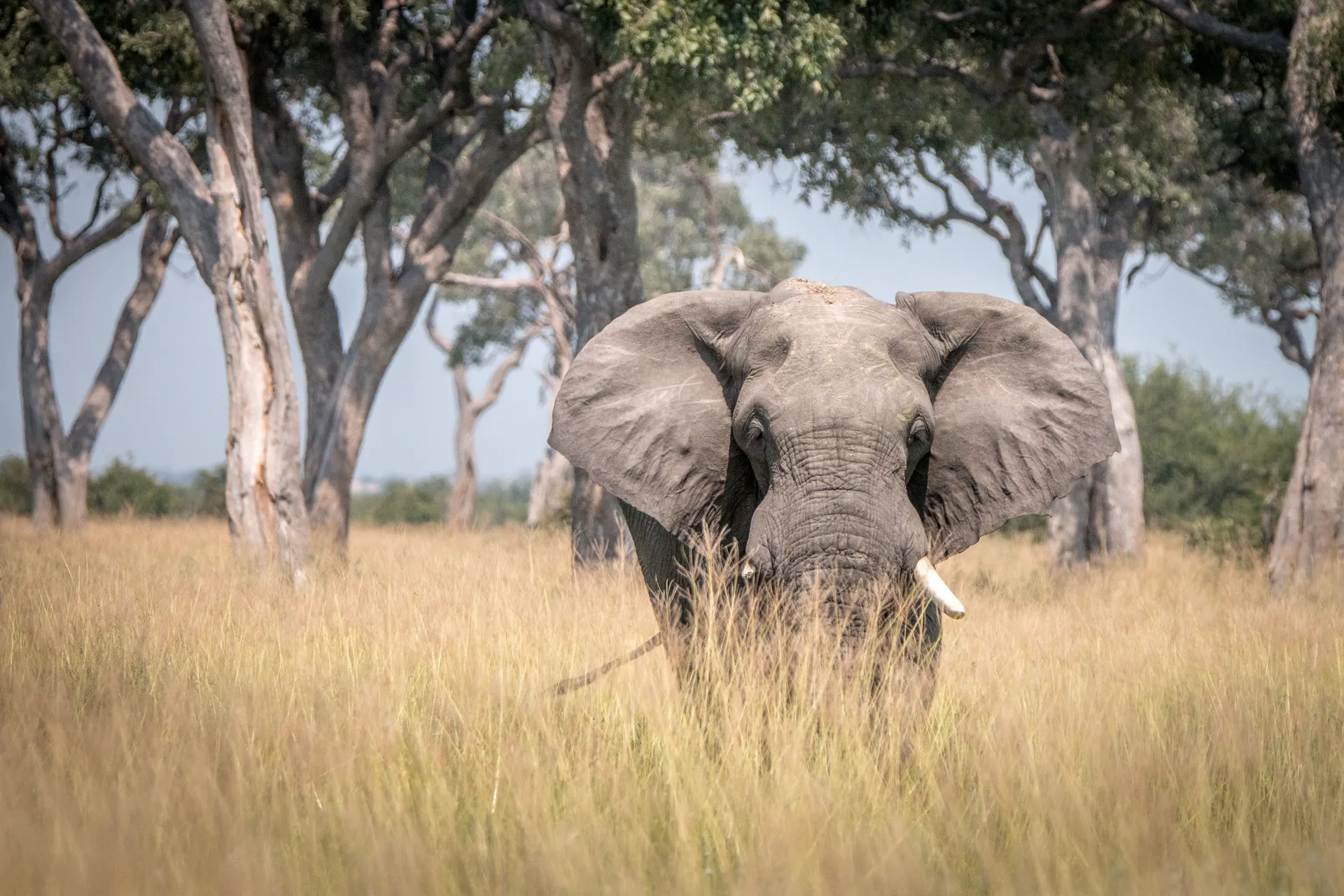 South Africa Tours - Escorted Tours of South Africa | Mercury Holidays