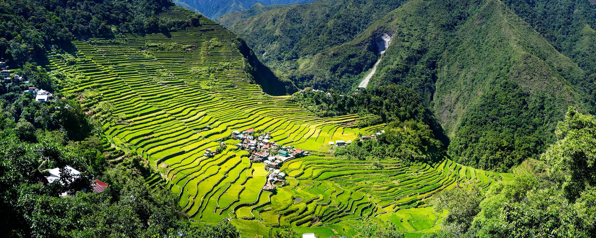 Escorted Tours | Mercury Holidays